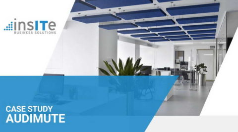 InsITe Business Solutions: Co-Managed IT Services Provider